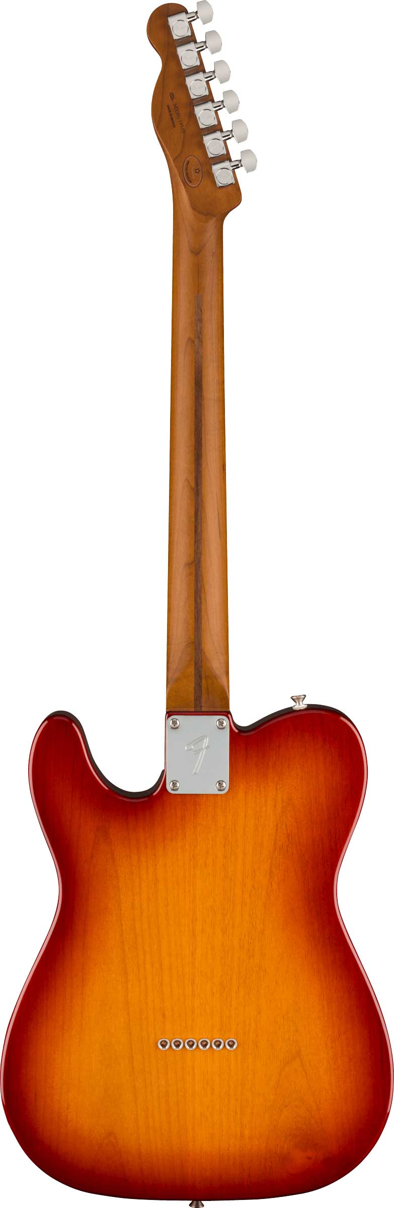 Fender Limited Edition Player Telecaster Roasted Maple Fingerboard ...