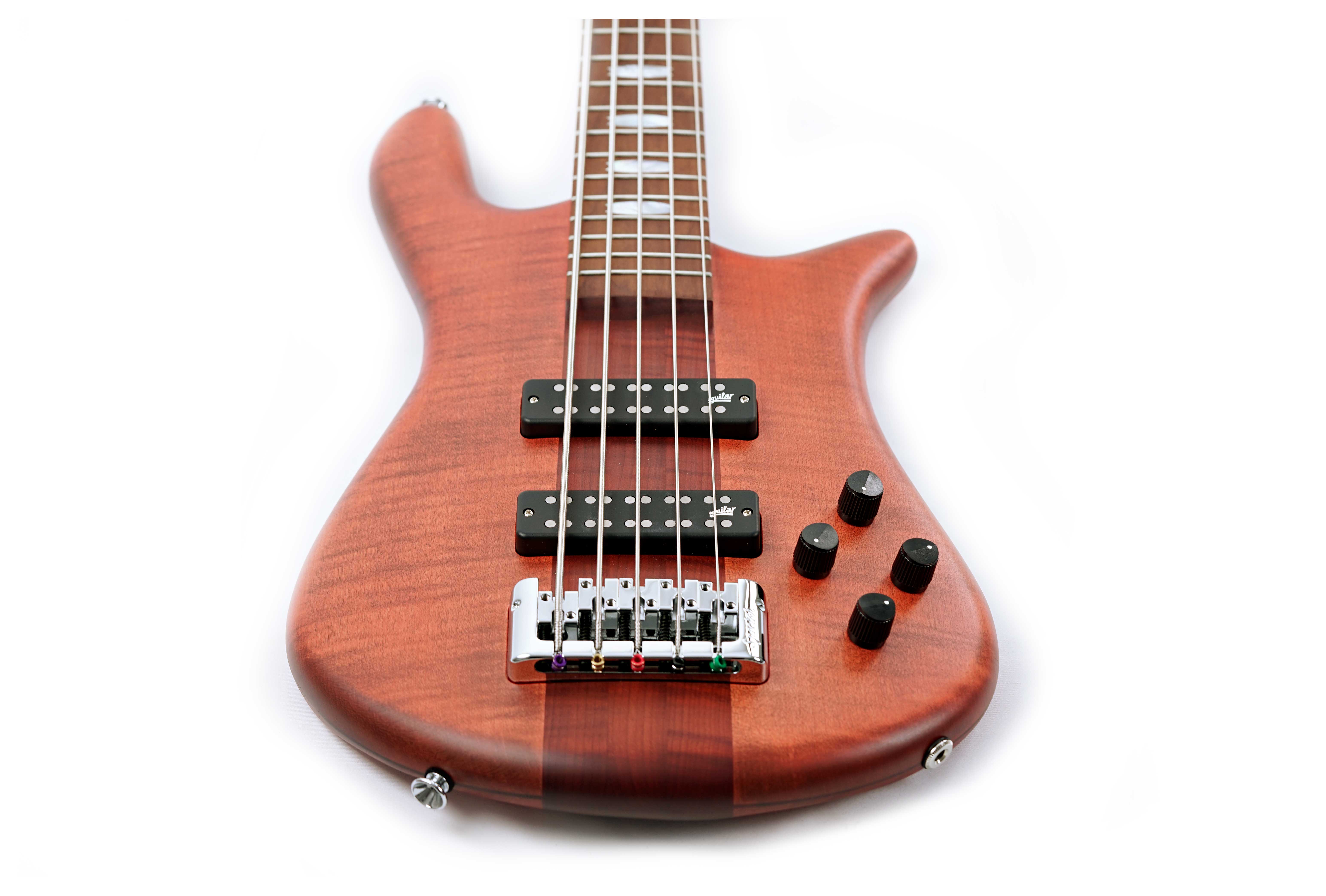 Spector Euro 5 Roasted Sienna Stain | guitarguitar