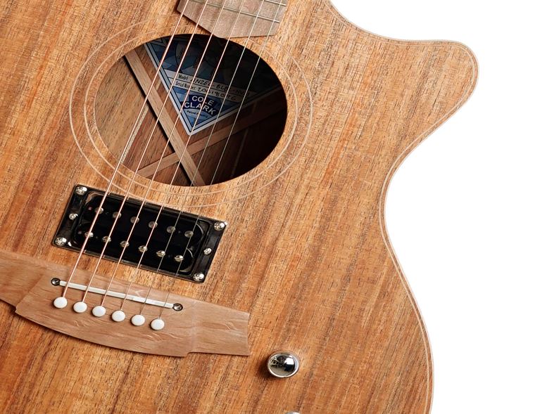 A Closer Look: Cole Clark 2020 Top Picks | guitarguitar