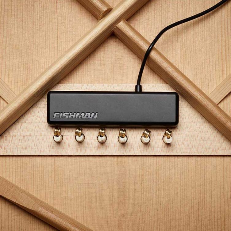 Acoustic Guitar Pickups Explained | guitarguitar