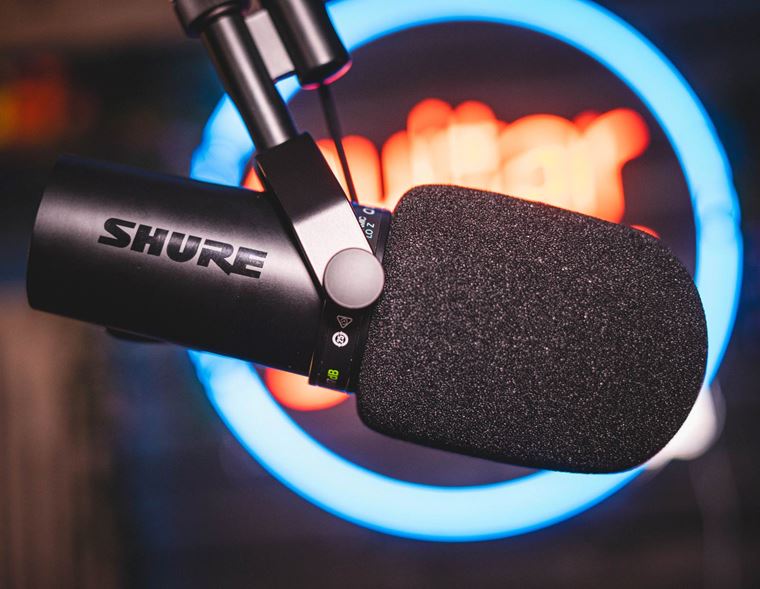 Artists Who Use Shure Microphones | guitarguitar