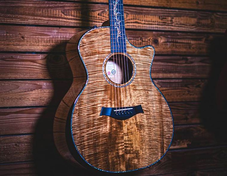 Top-End Taylor Acoustic Guitars | guitarguitar