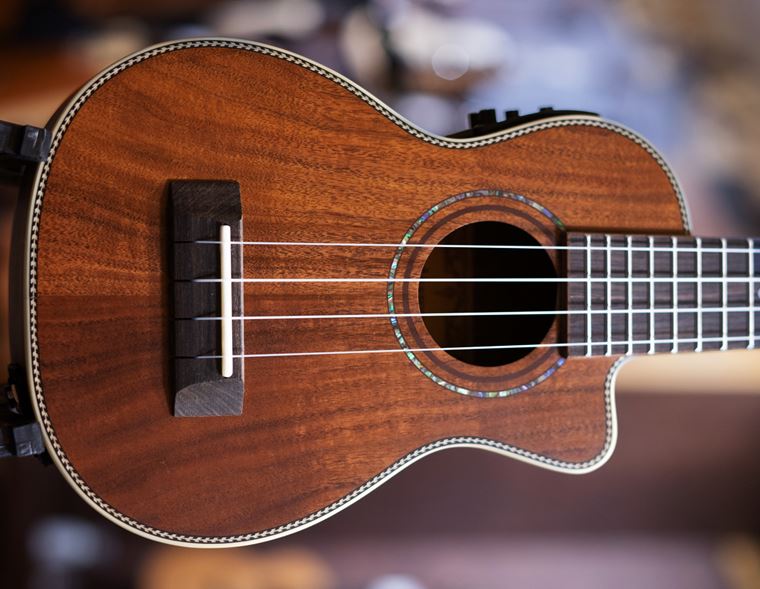 Types of Ukulele Explained: Our Expert Ukulele Guide | guitarguitar